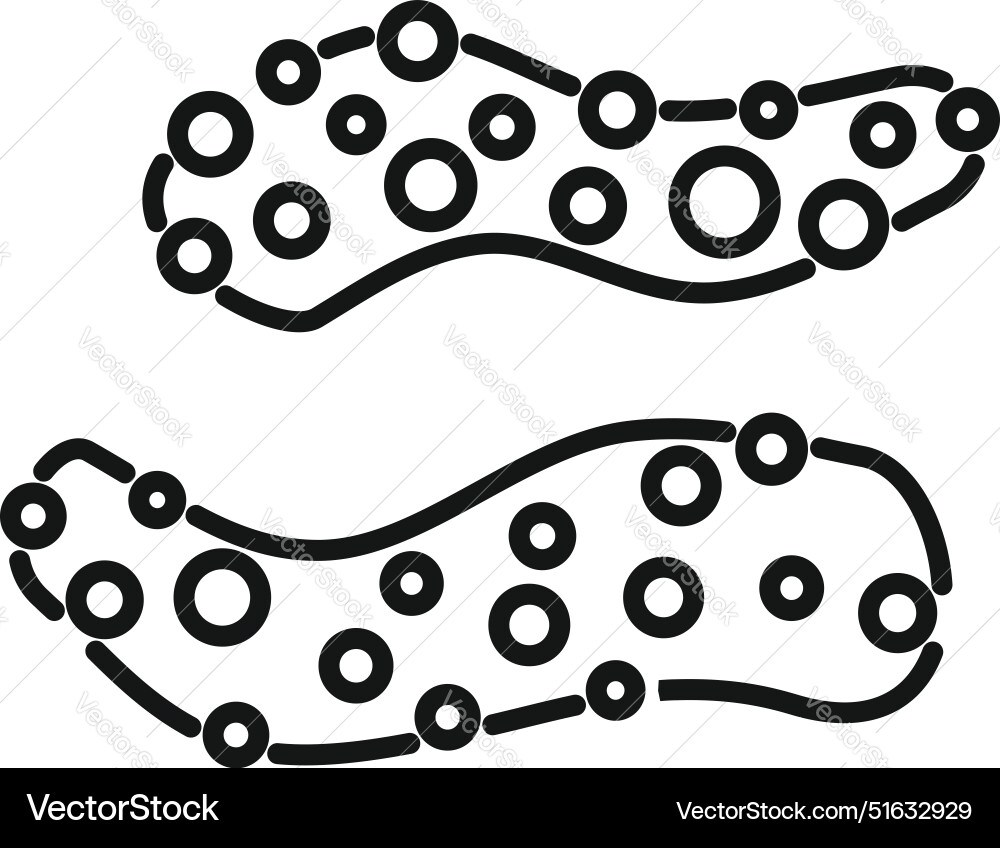 Bacteria Dividing By Binary Fission Multiplying Vector Image