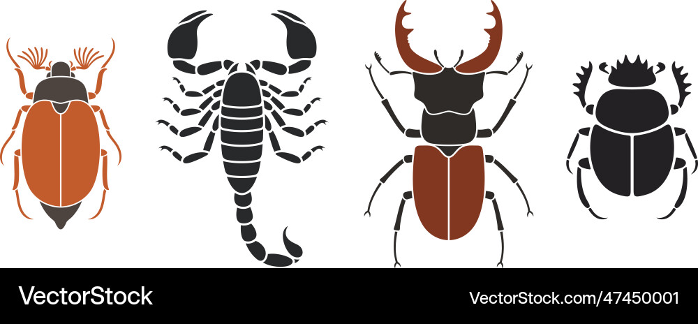 Beetle Royalty Free Vector Image - VectorStock