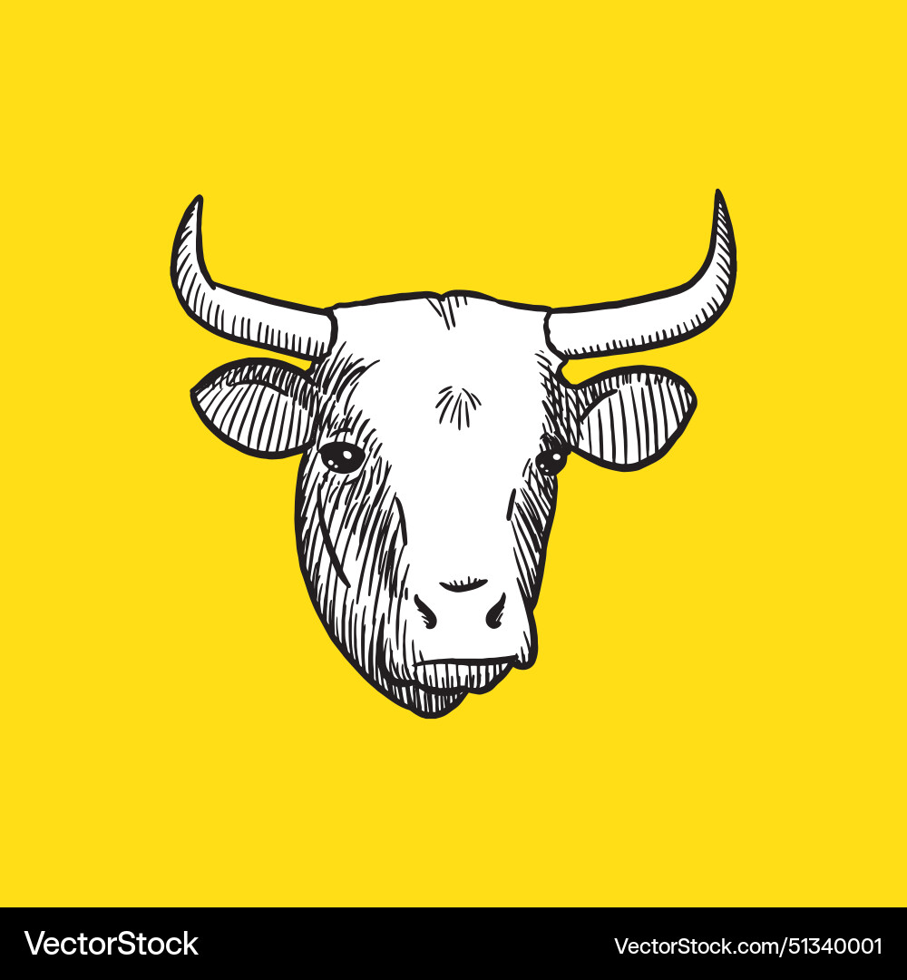 Cow head from front sketch drawing style Vector Image