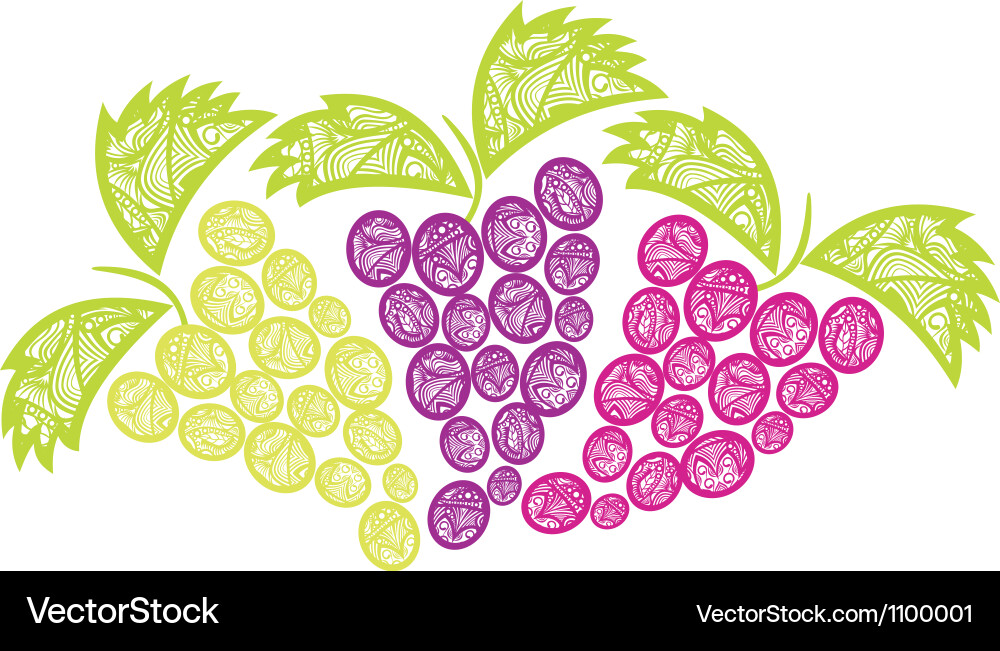 Grape Royalty Free Vector Image - VectorStock
