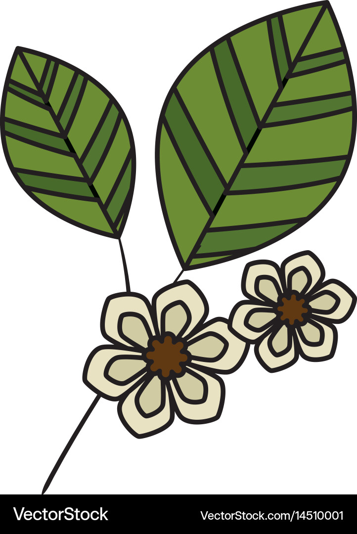 Leaf natural ecology Royalty Free Vector Image