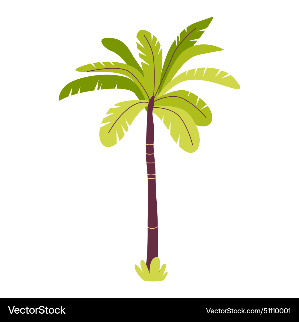 Tropical palm cartoon tropic Royalty Free Vector Image