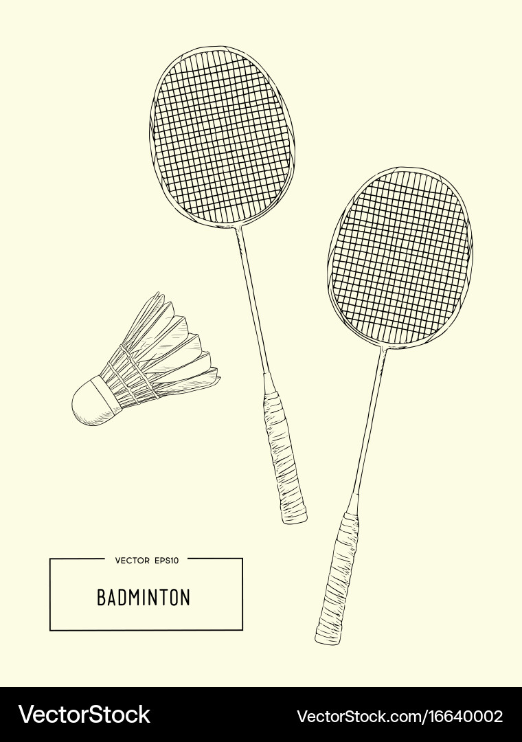 Badminton racket and shuttlecocks sketch Vector Image