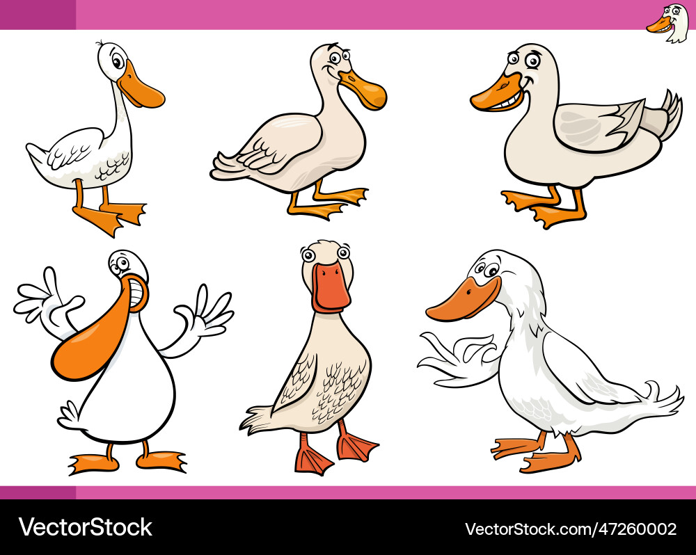 Cartoon ducks farm birds comic characters set Vector Image