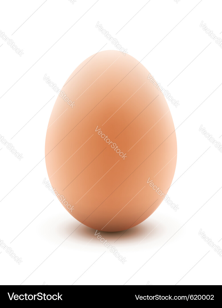 Egg Royalty Free Vector Image - VectorStock