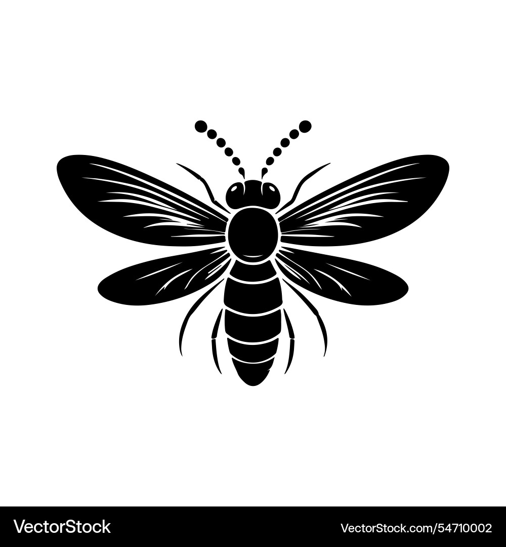 Firefly silhouette Royalty Free Vector Image - VectorStock