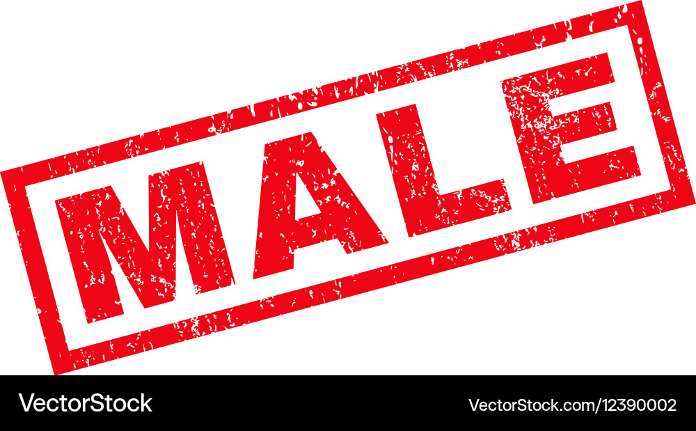 Male rubber stamp Royalty Free Vector Image - VectorStock