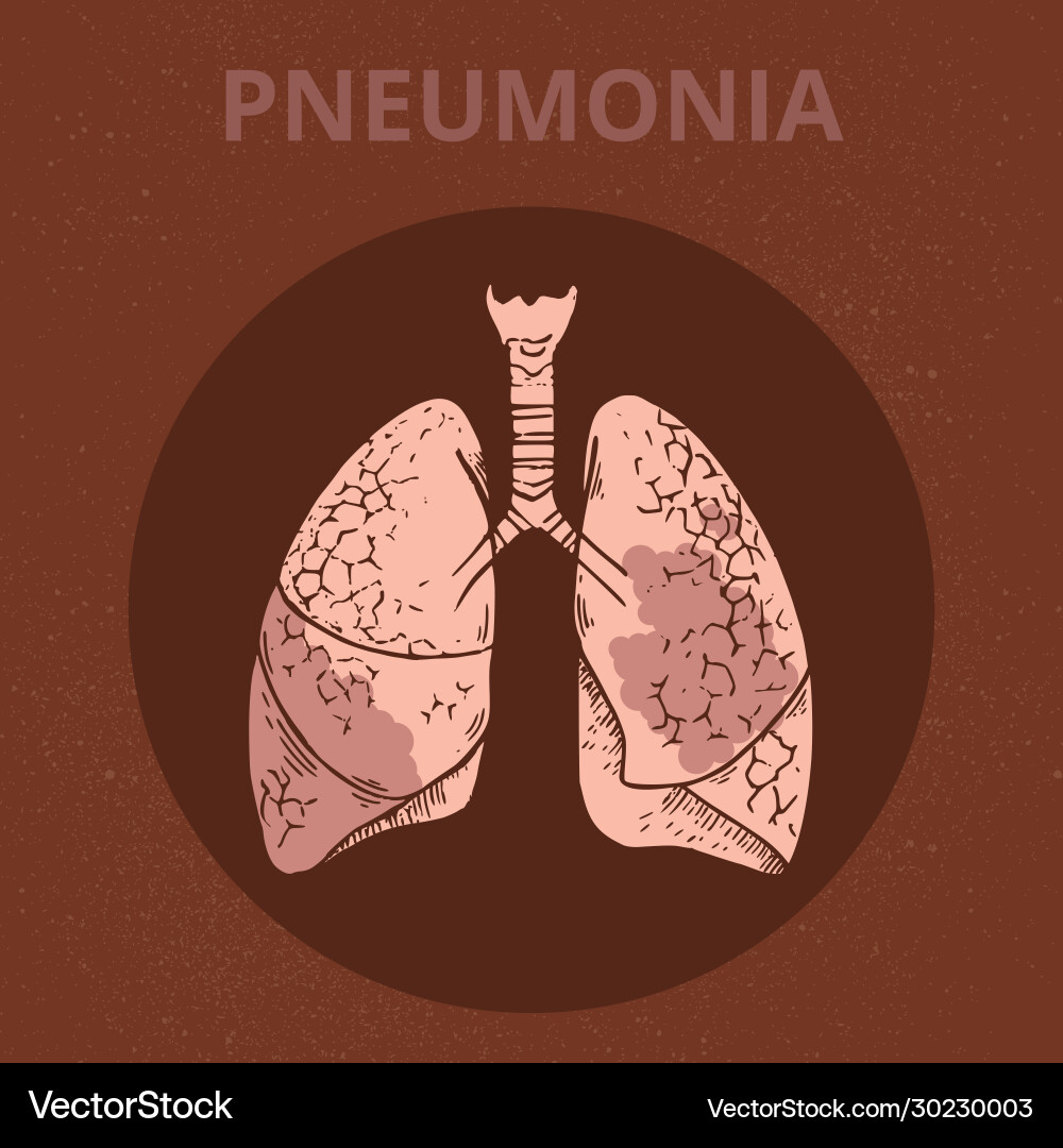 A schematic human body Royalty Free Vector Image
