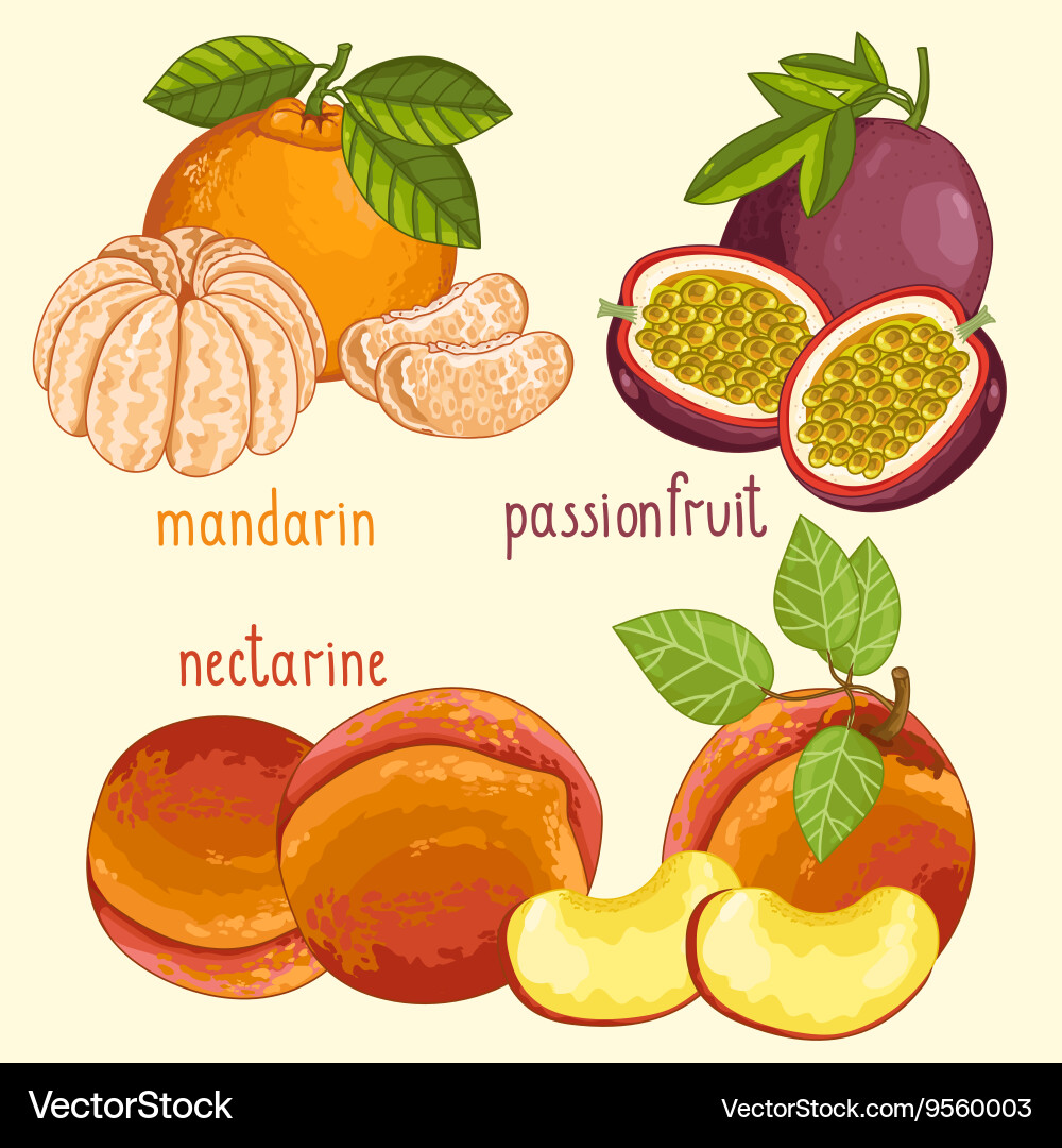 Fresh fruit mix isolated Royalty Free Vector Image