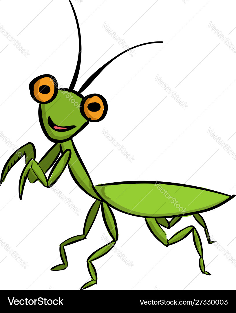 Green mantis on white background Royalty Free Vector Image