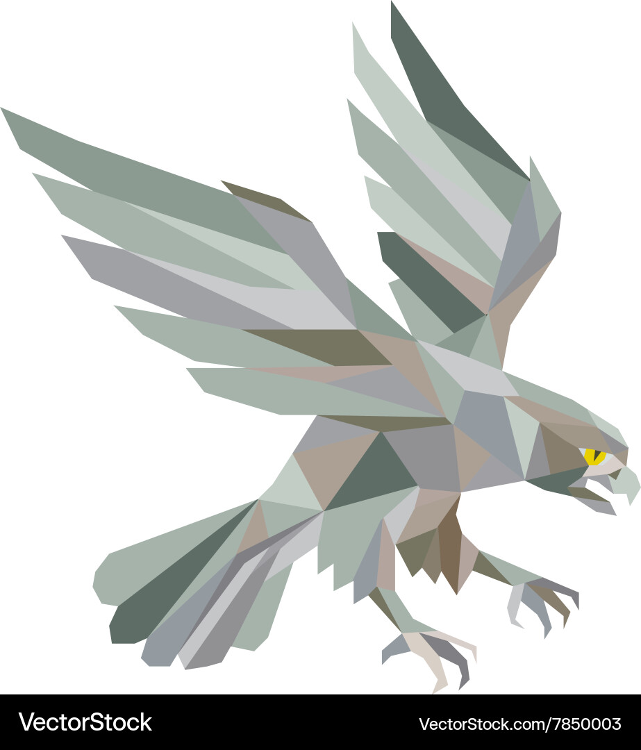 Falcon Vector Images (over 30,000)