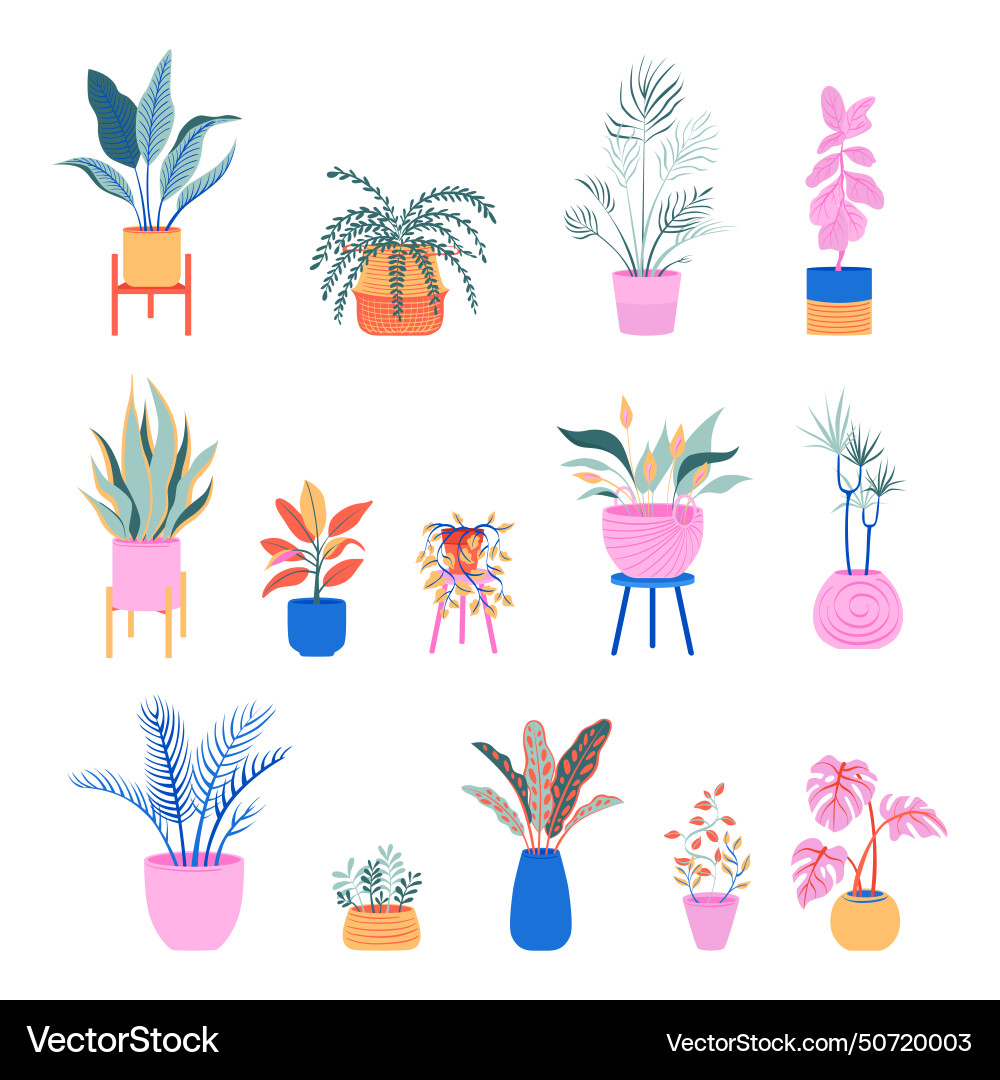 Potted plants bright set interior colorful Vector Image