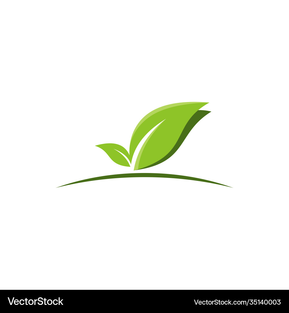 Simple Leaf Vector