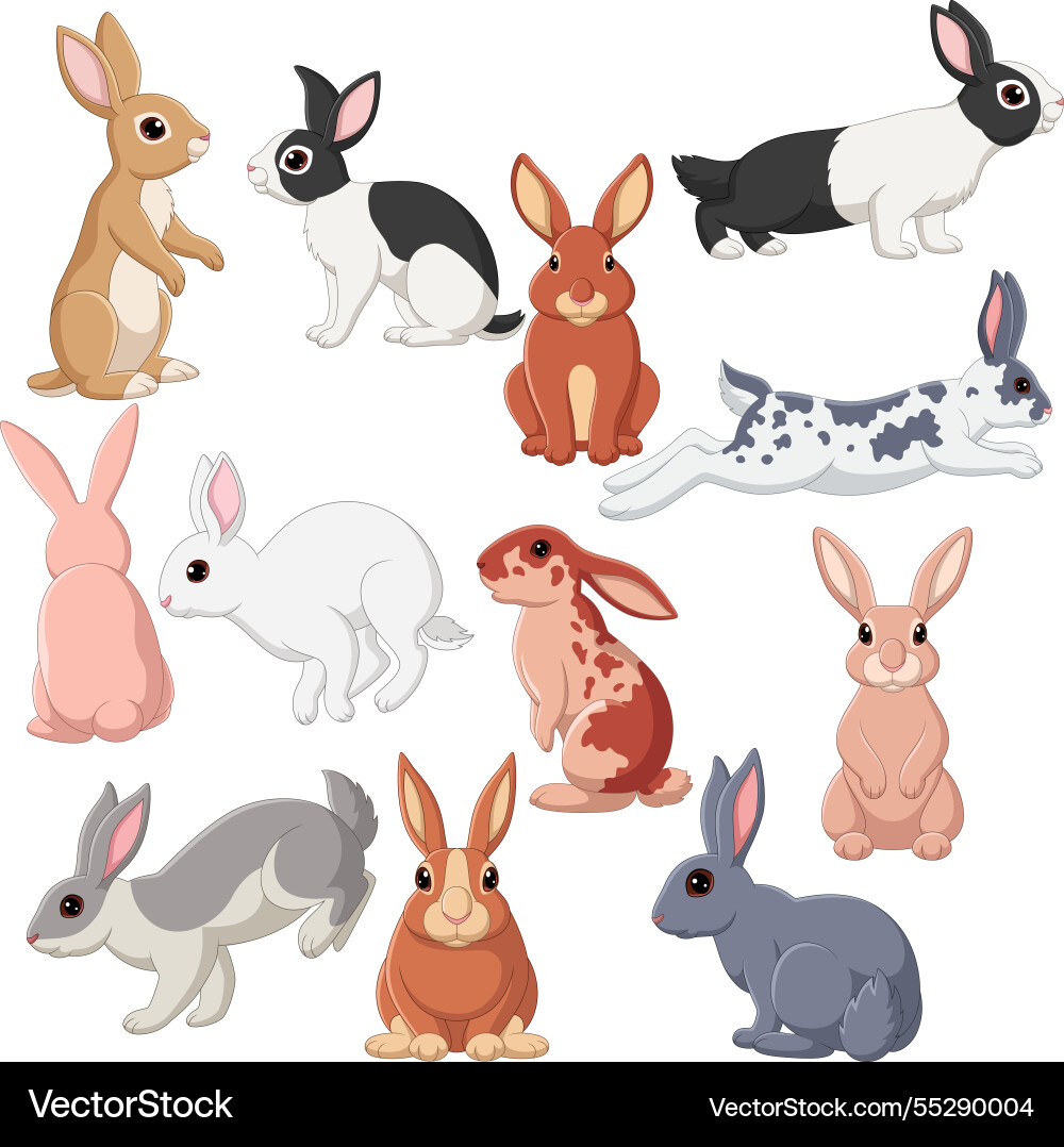 Cartoon of rabbit collection set Royalty Free Vector Image