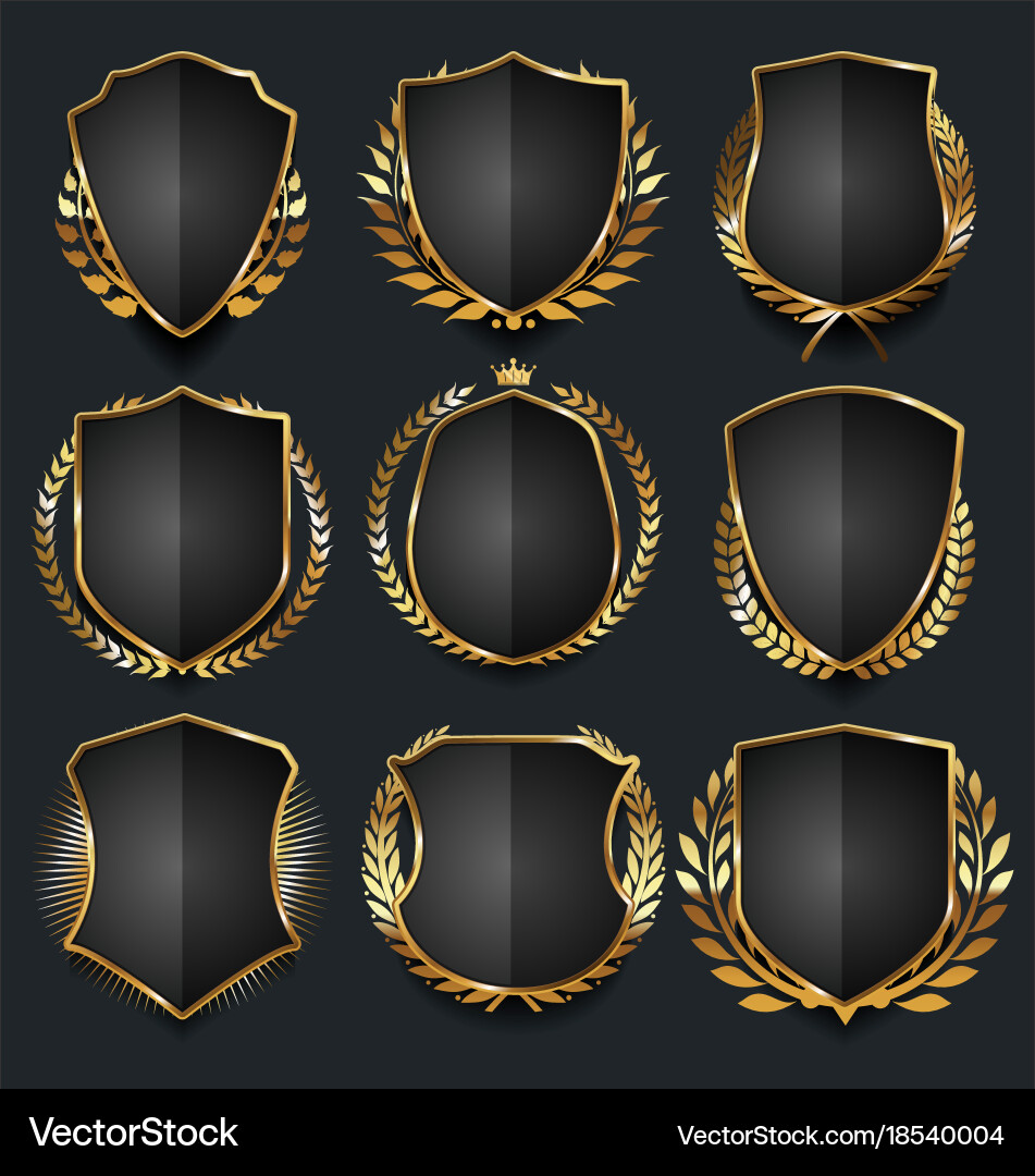 Golden shield retro design Royalty Free Vector Image