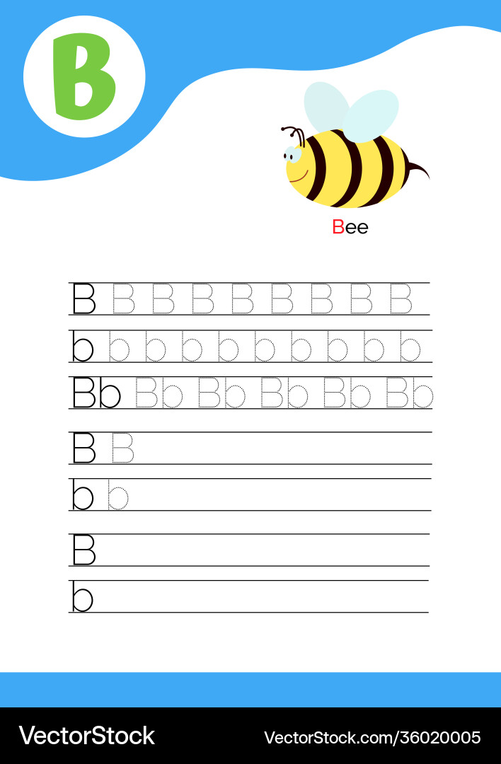 Letter B with Bee - Handwriting Practice Vector Image