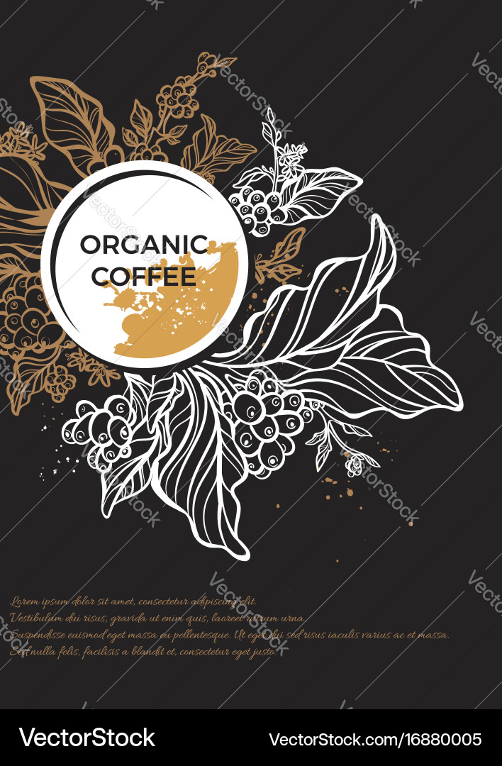 Template coffee 2 Royalty Free Vector Image - VectorStock