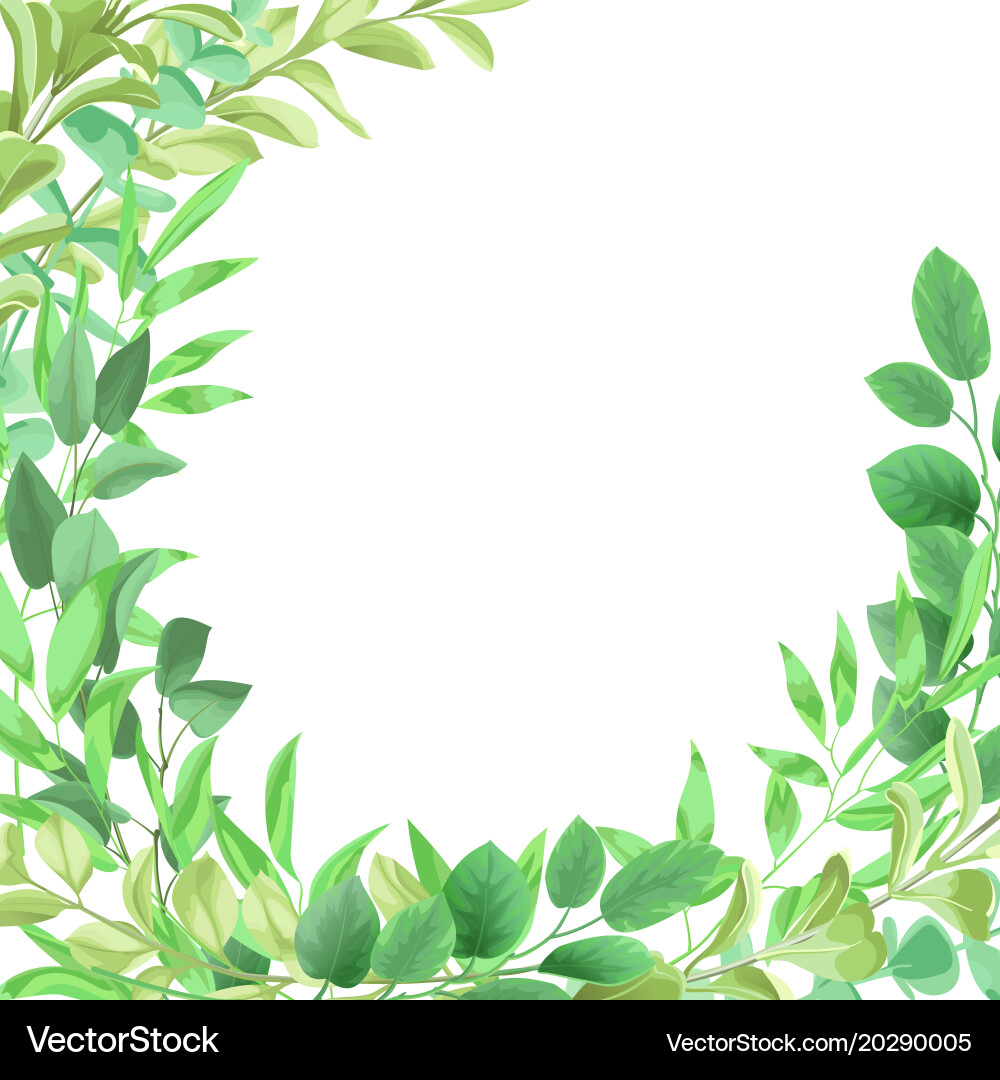Template frame from greenery Royalty Free Vector Image
