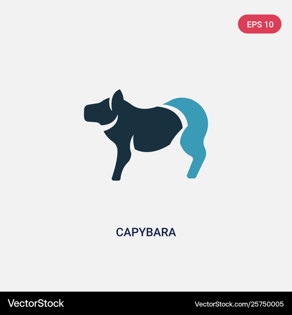Two color capybara icon from animals concept Vector Image