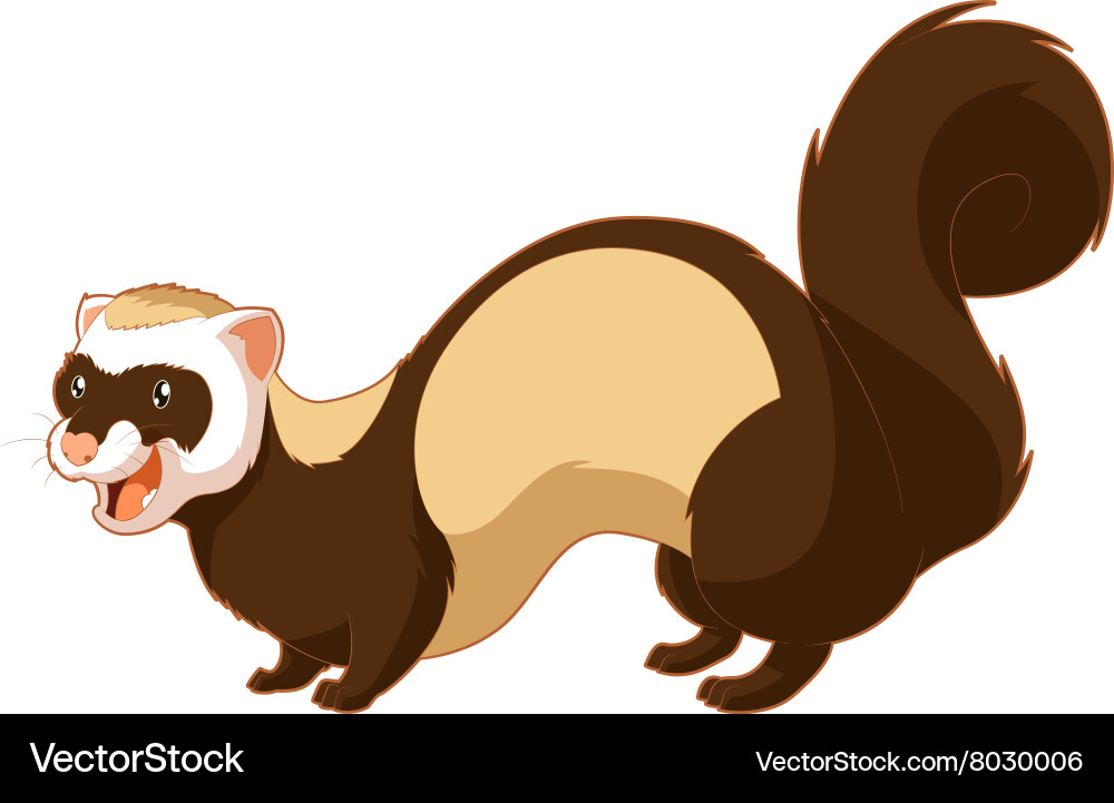 Cartoon smiling ferret Royalty Free Vector Image