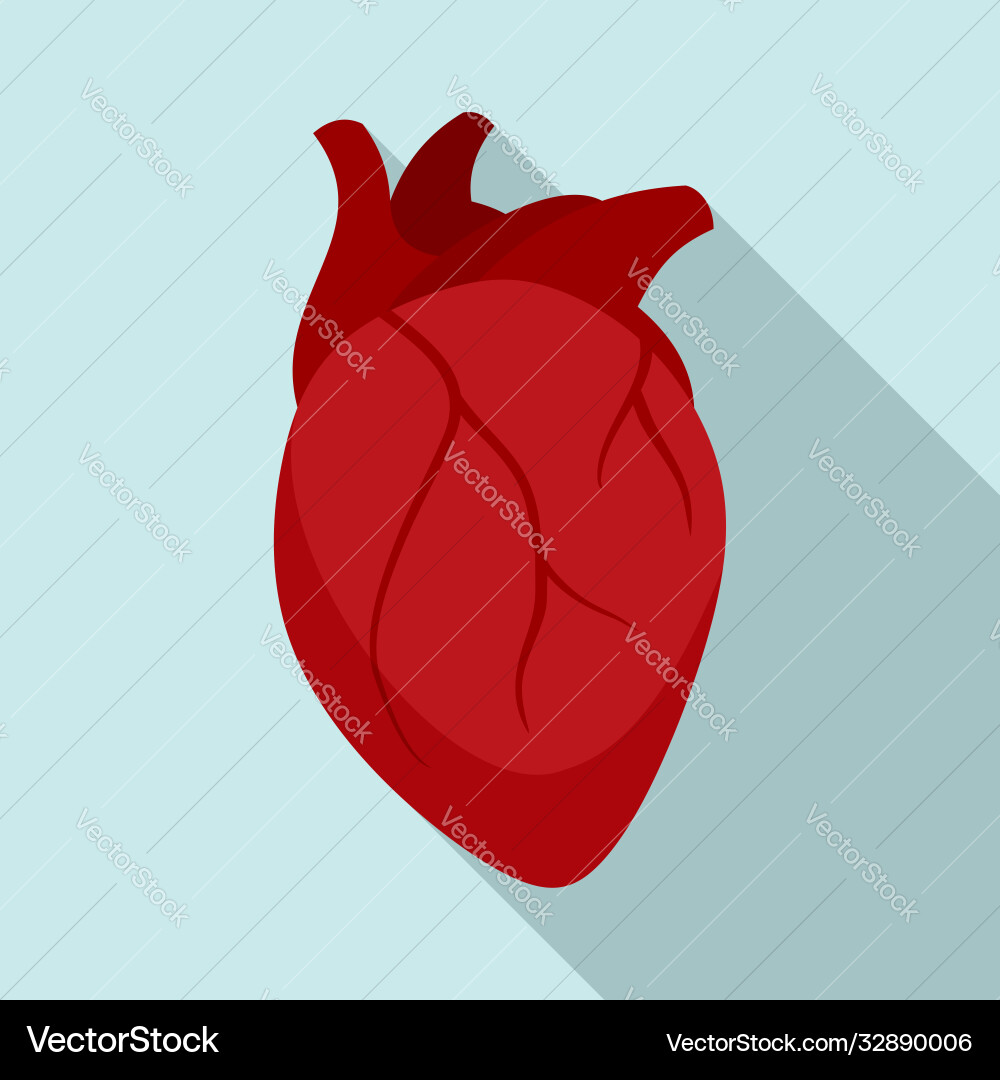 Muscle human heart icon flat style Royalty Free Vector Image