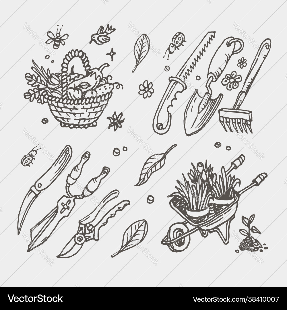 Big set hand-drawn garden elements Royalty Free Vector Image
