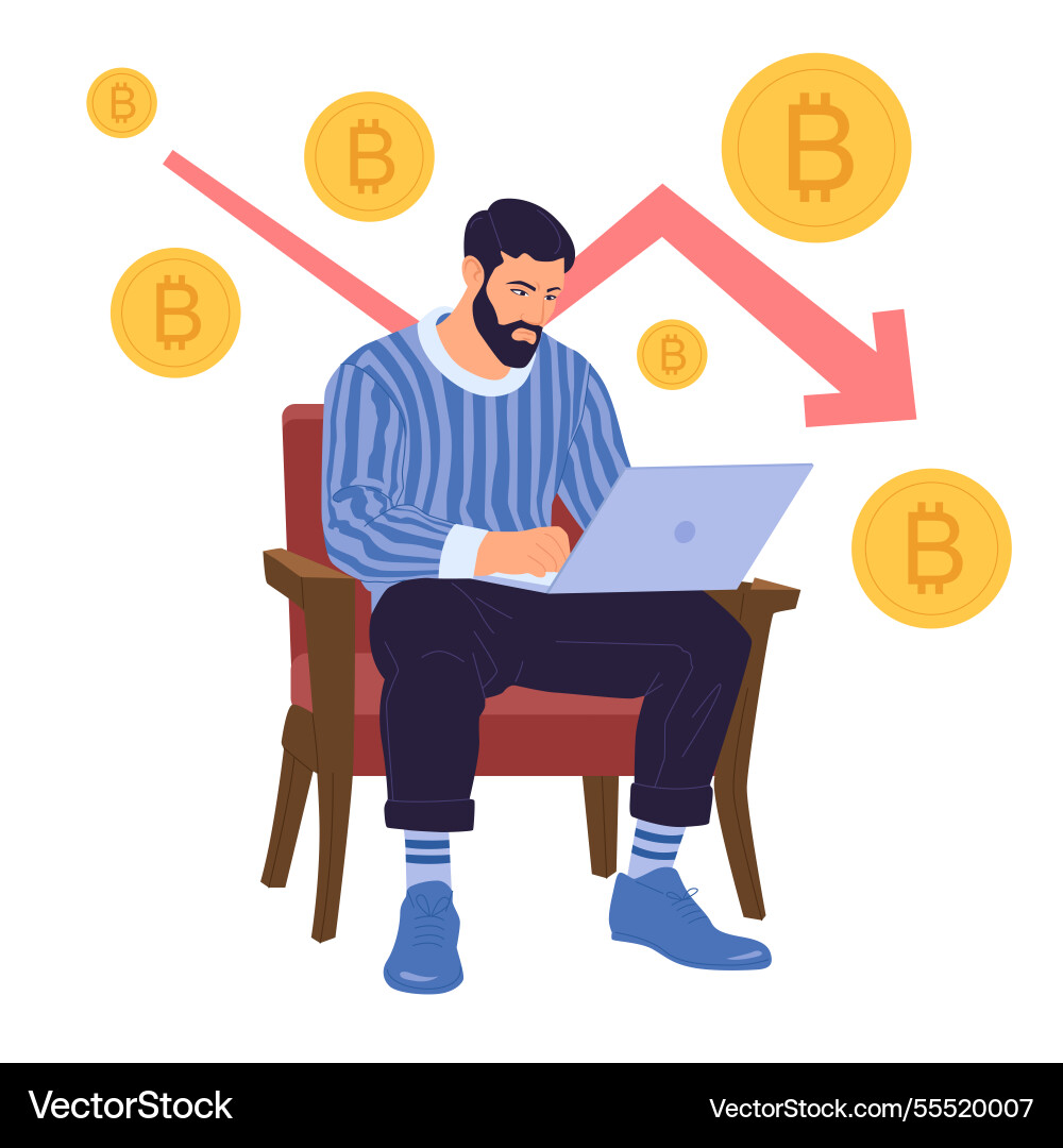 Bitcoin price drop cryptocurrency market concept Vector Image