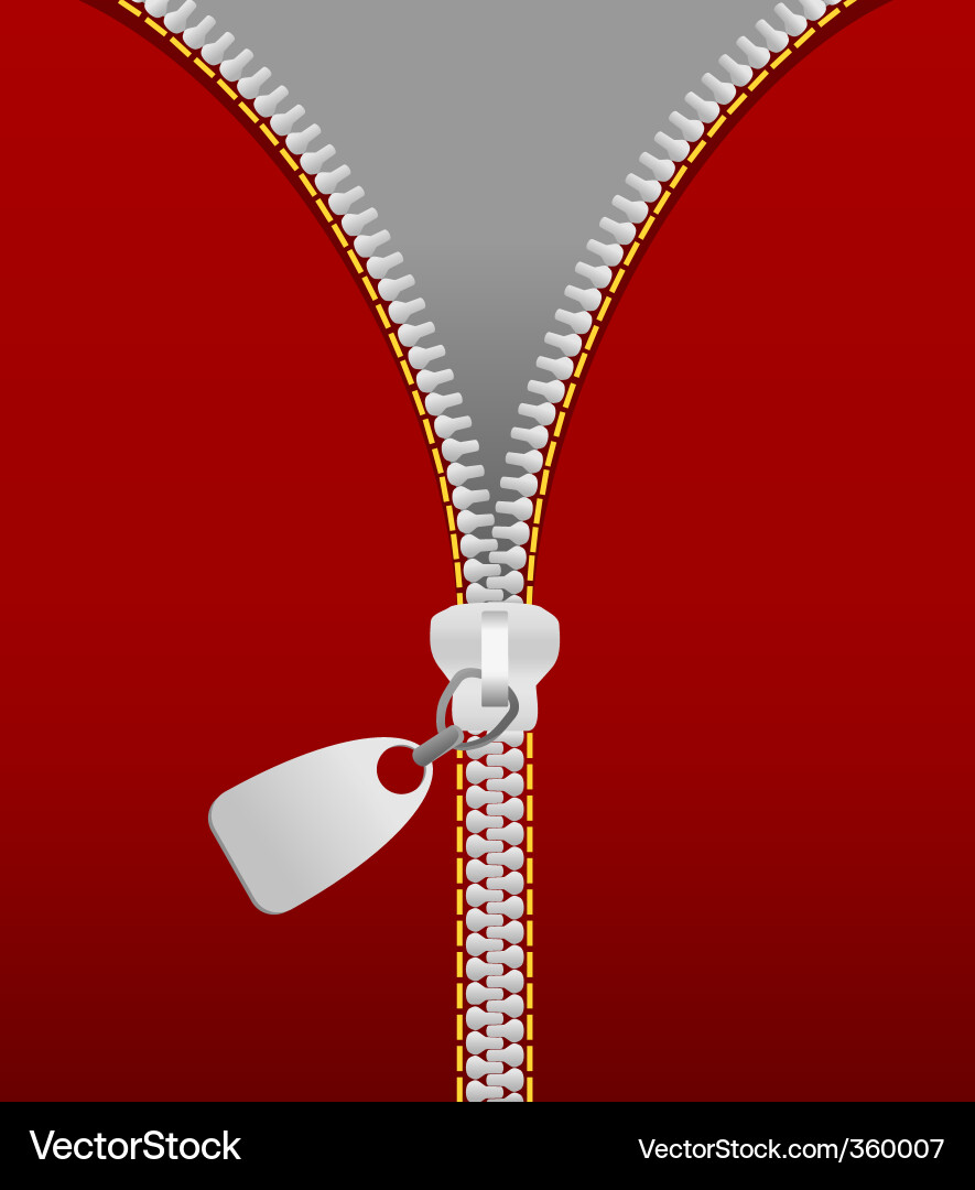 Zipper Detail Royalty Free Vector Image - VectorStock