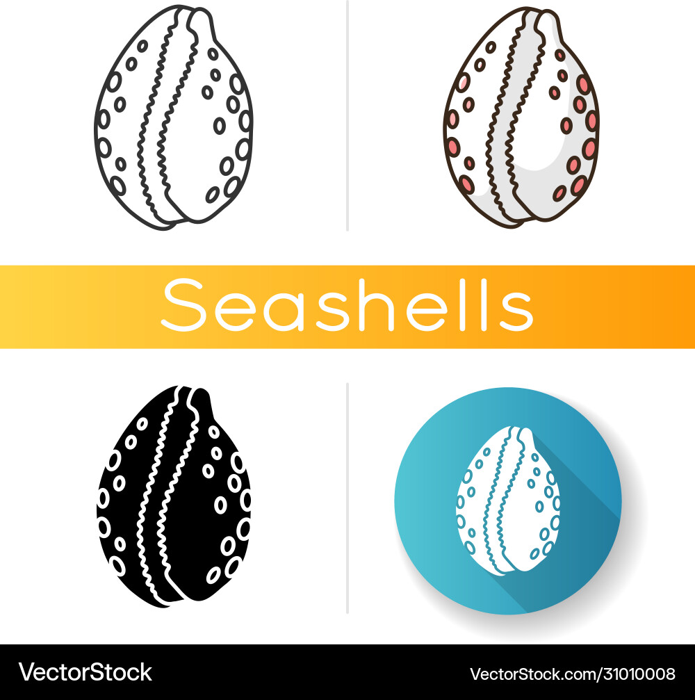 Cowrie shell icon Royalty Free Vector Image - VectorStock