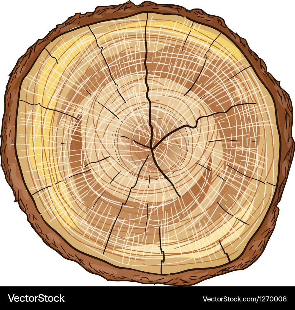 Wood log Royalty Free Vector Image - VectorStock