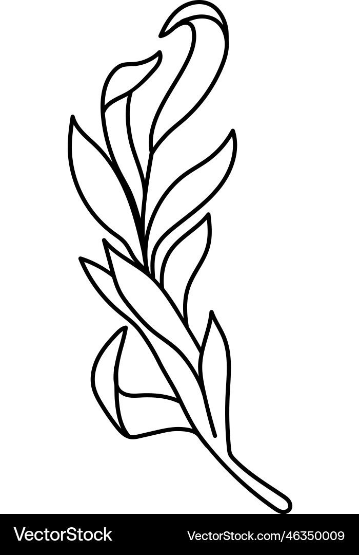 Cute twig line art Royalty Free Vector Image - VectorStock