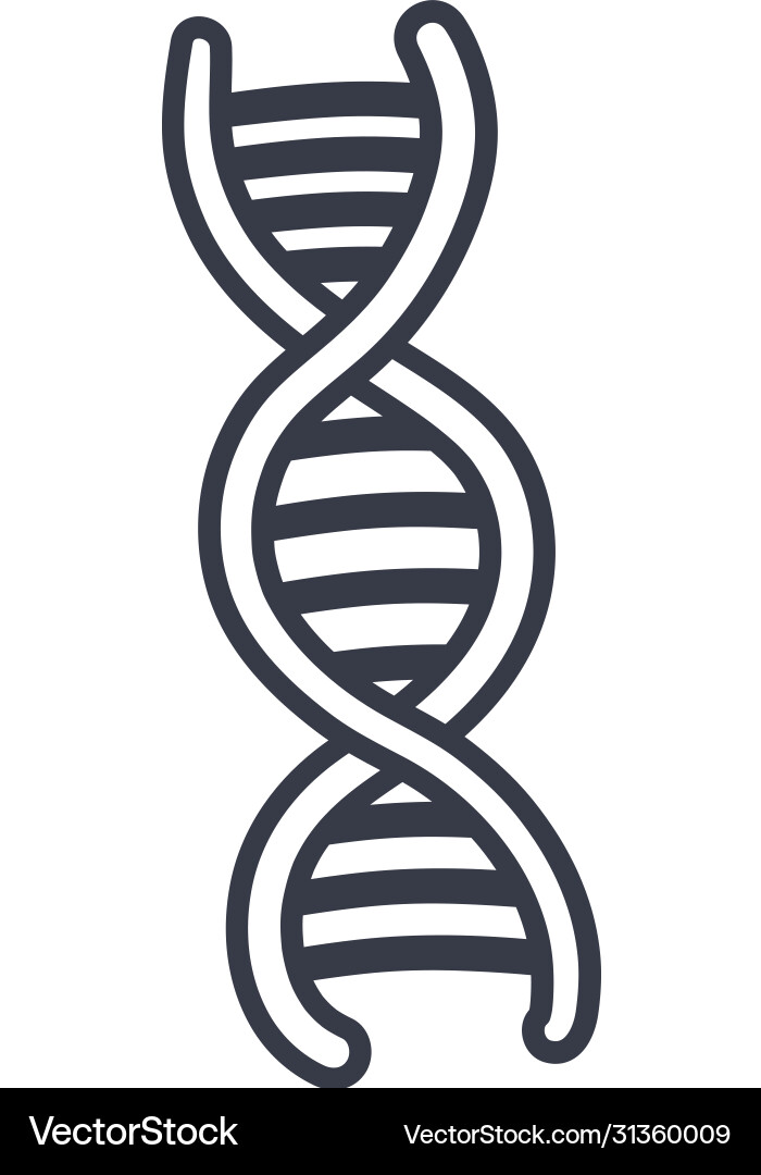 Isolated dna structure line style icon Royalty Free Vector