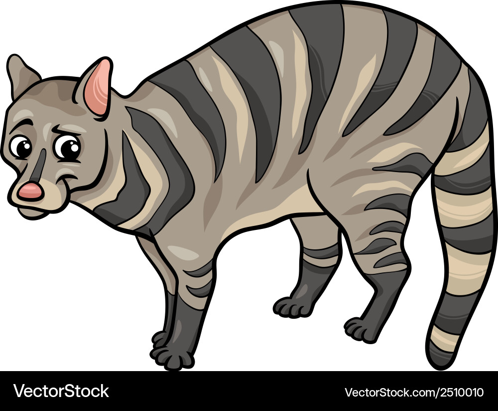Civet animal cartoon Royalty Free Vector Image