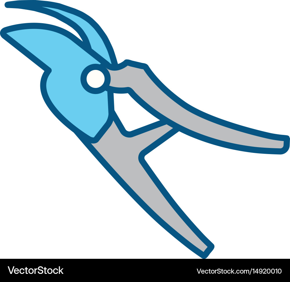 Pruners tool gardening Royalty Free Vector Image