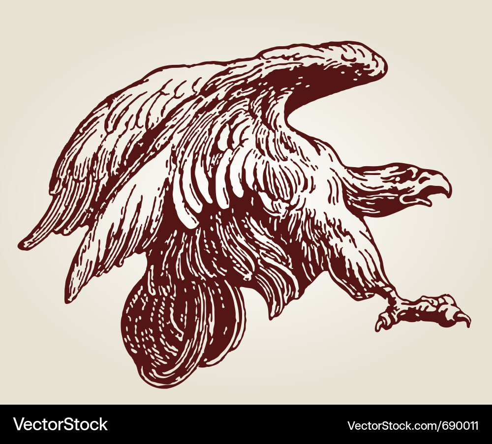 Adler Lizenzfreies Vektorbild - VectorStock