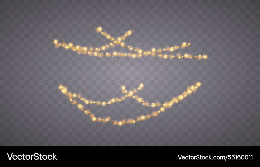 Christmas lights isolated on transparent Vector Image