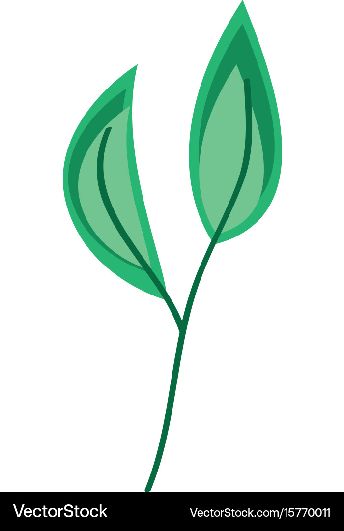Leaf plant decorative icon Royalty Free Vector Image