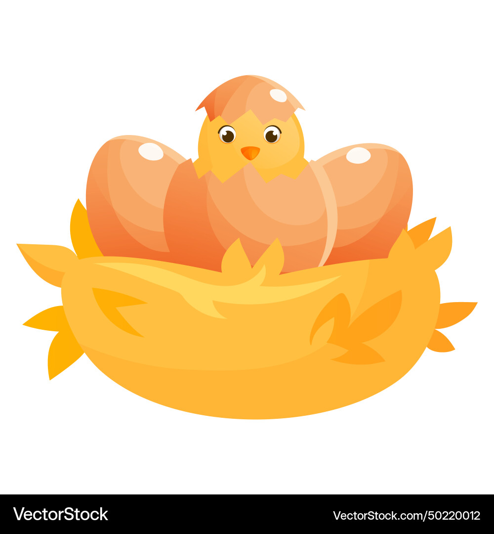 Cartoon chicken hatched from a shell in nest Vector Image