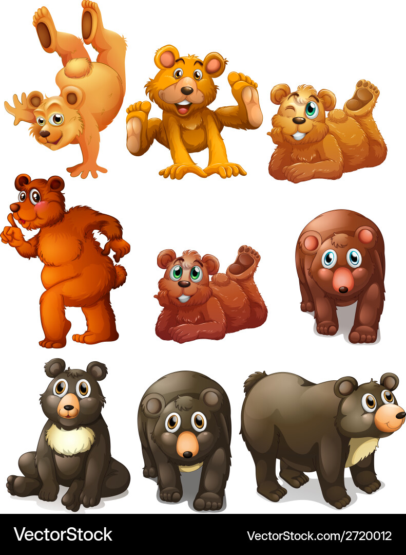 Cute bear movements Royalty Free Vector Image - VectorStock