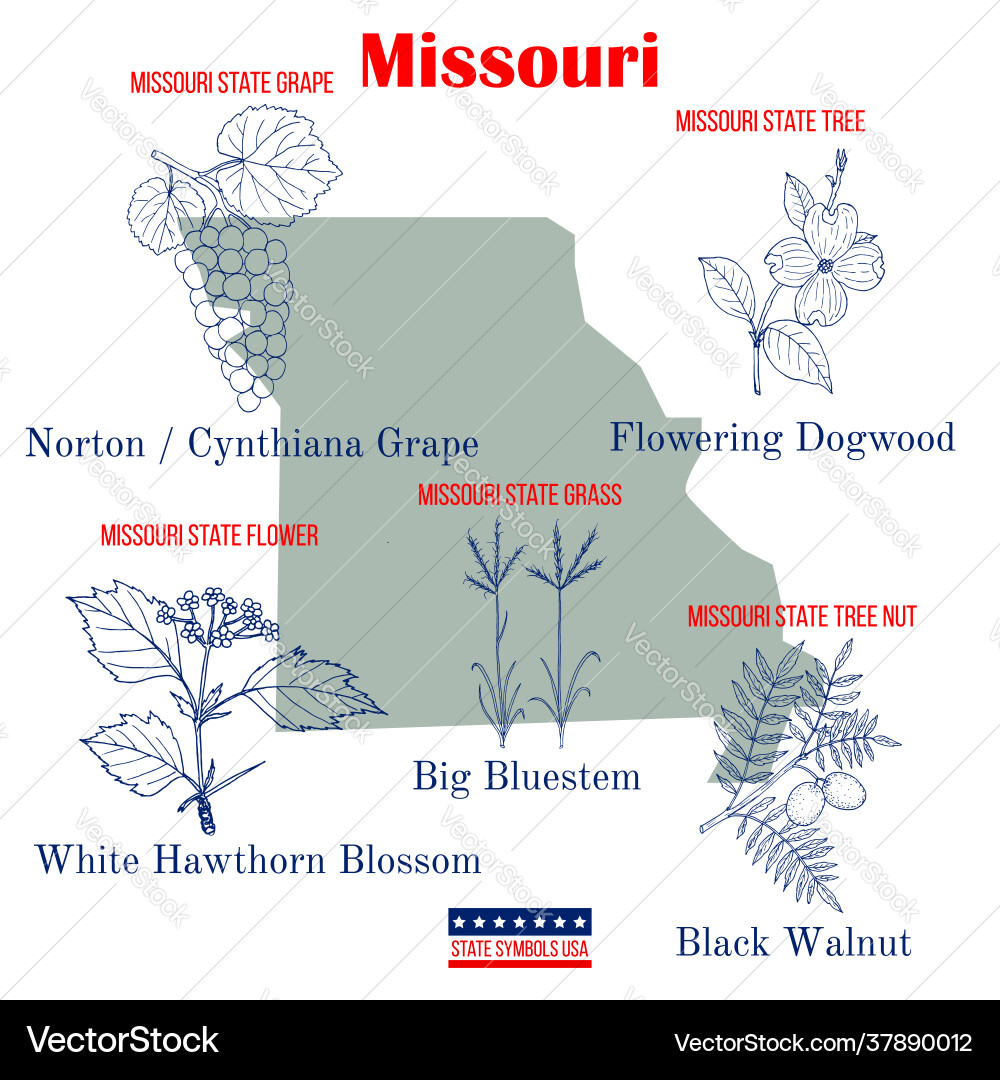 Missouri set usa official state symbols Royalty Free Vector