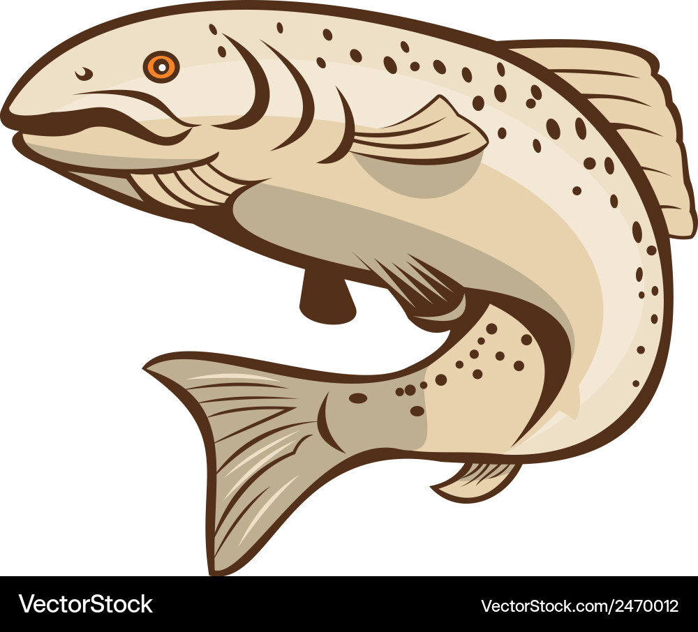 Rainbow trout jumping cartoon Royalty Free Vector Image
