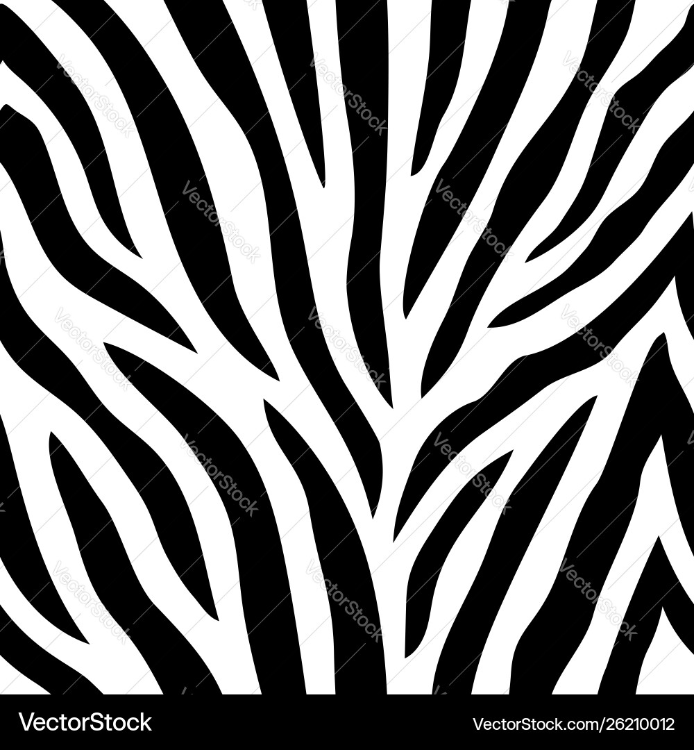 Zebra Stripes Pattern Royalty Free Vector Image