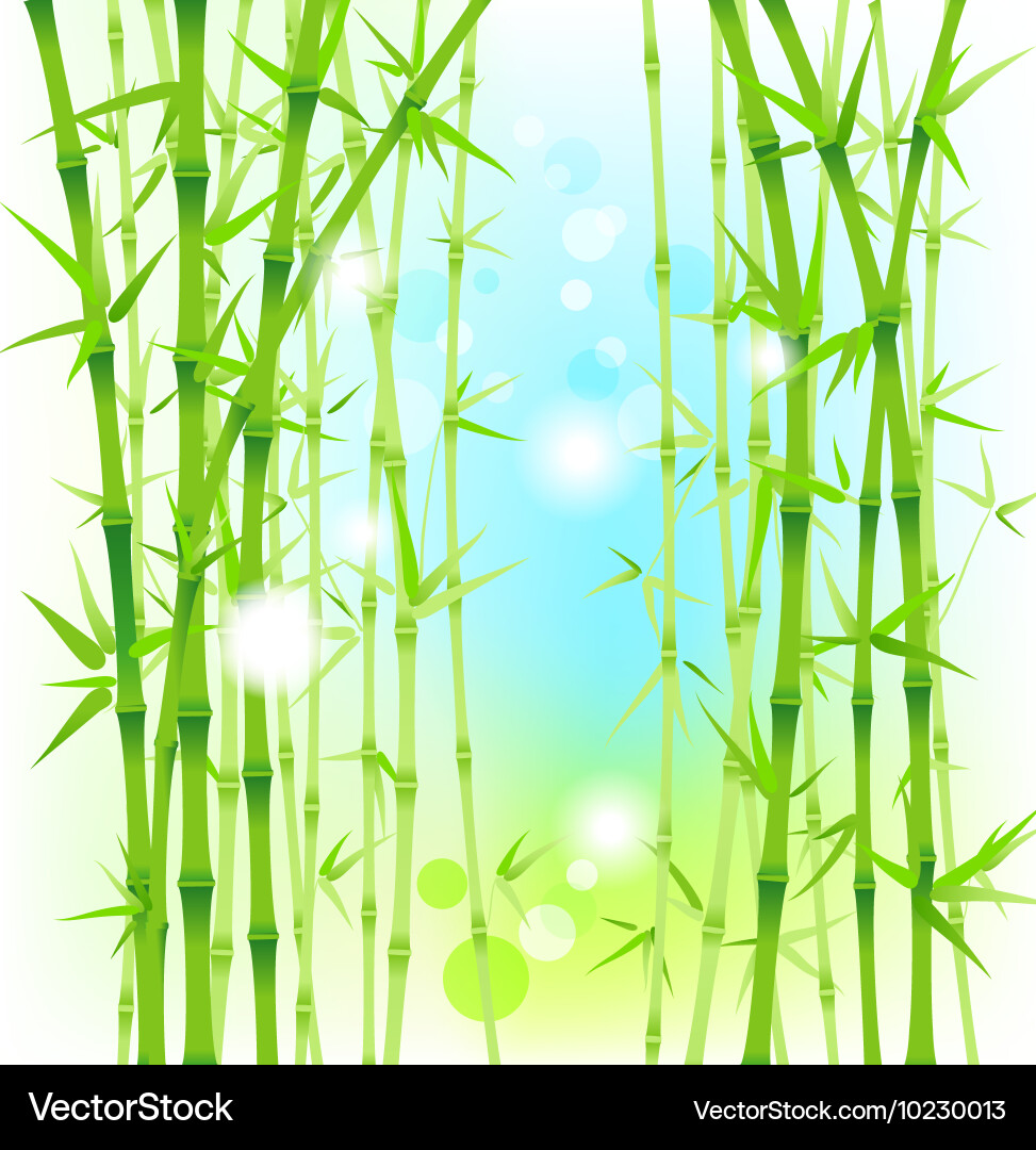 Bamboo fresh background Royalty Free Vector Image