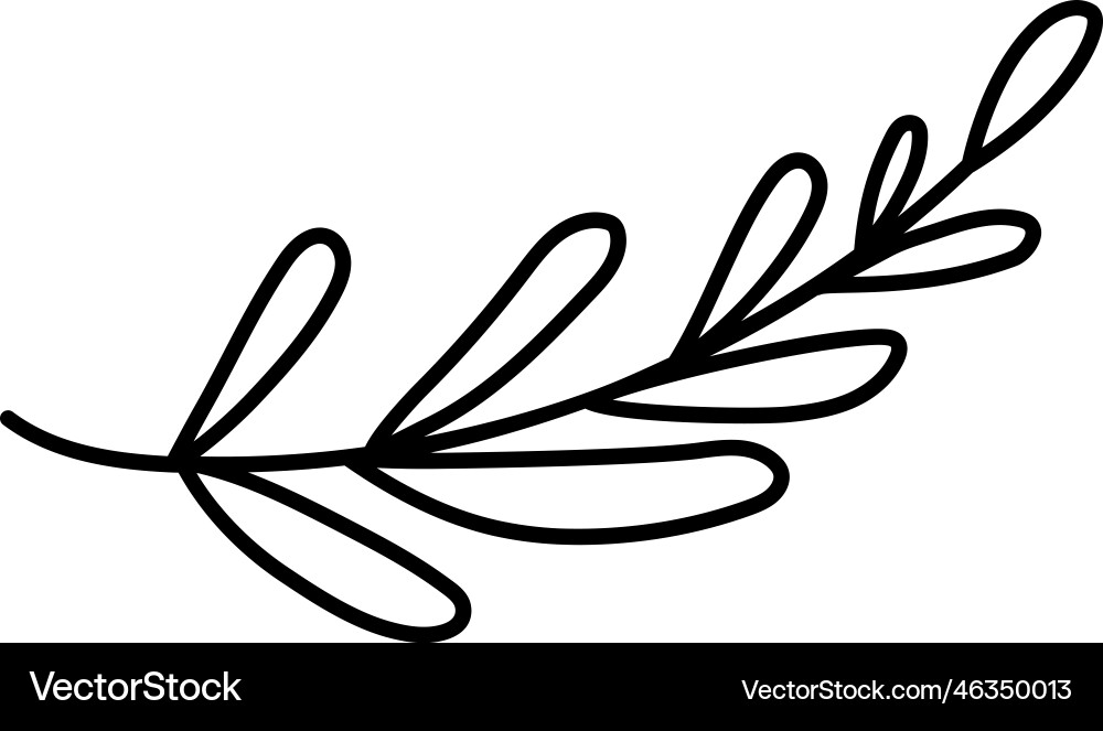 Cute twig line art Royalty Free Vector Image - VectorStock