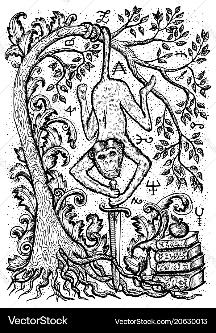 Monkey Symbol Lizenzfreies Vektorbild - VectorStock