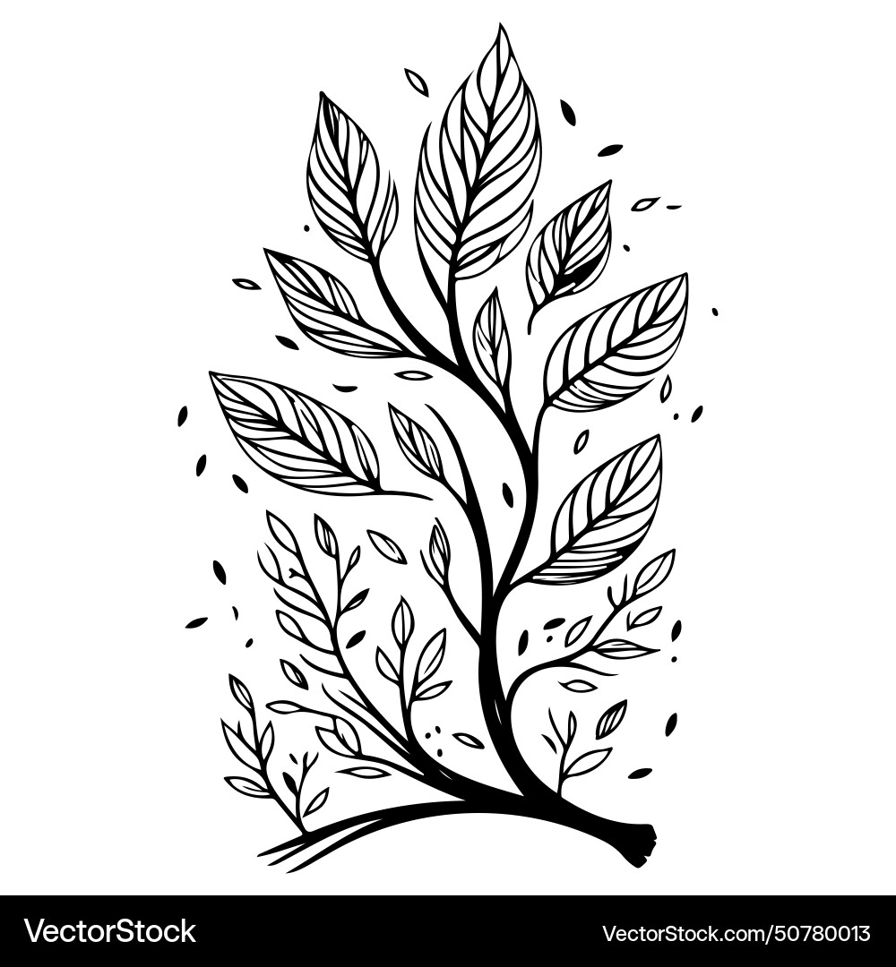 Tree half spring autumn floral sketch draw Vector Image