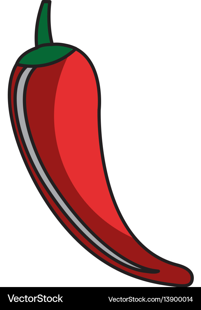 Chilli pepper isolated icon Royalty Free Vector Image