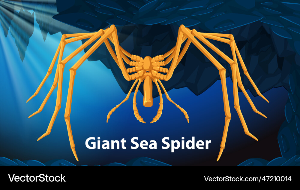 Giant sea spider Royalty Free Vector Image - VectorStock