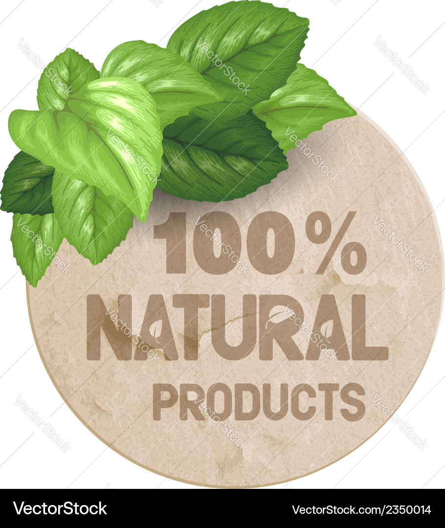 Leaves natural Royalty Free Vector Image - VectorStock