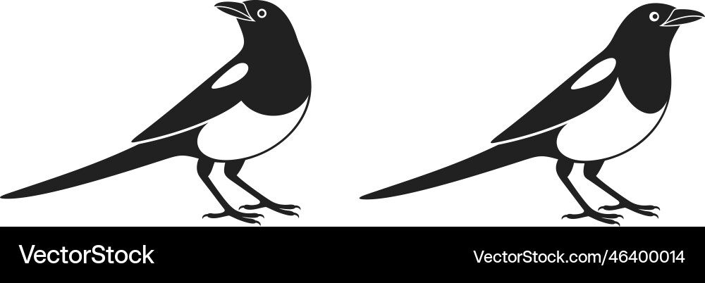 Magpie Royalty Free Vector Image - VectorStock